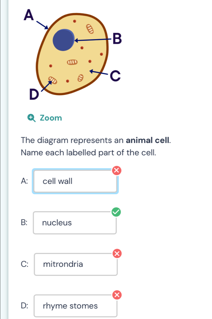 Résolu :Zoom The diagram represents an animal cell. Name each labelled ...