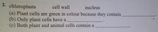 Solved: chloroplasts cell wall nucleus (a) Plant cells are green in ...