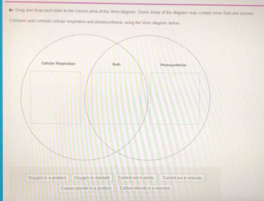 Solved: Drag and drop each label to the correct area of the Venn ...