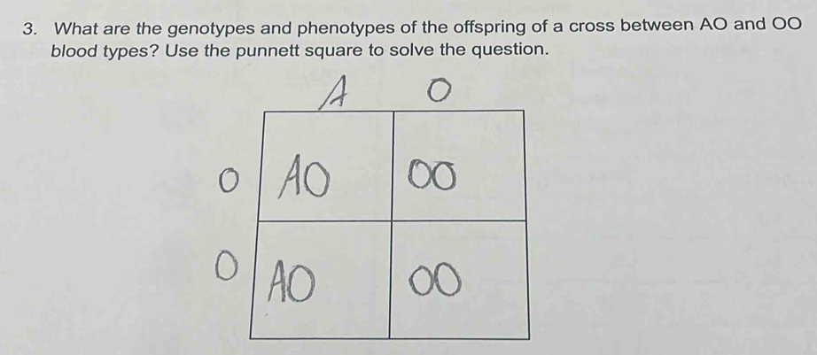 Solved: What are the genotypes and phenotypes of the offspring of a ...