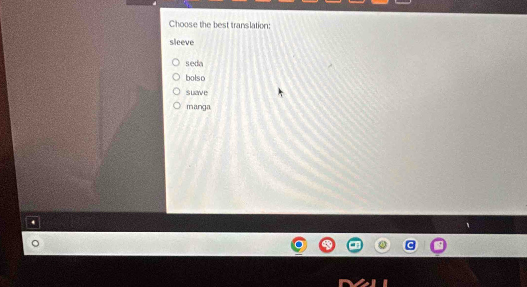 Solved: Choose the best translation: sleeve seda bolso suave manga [Others]