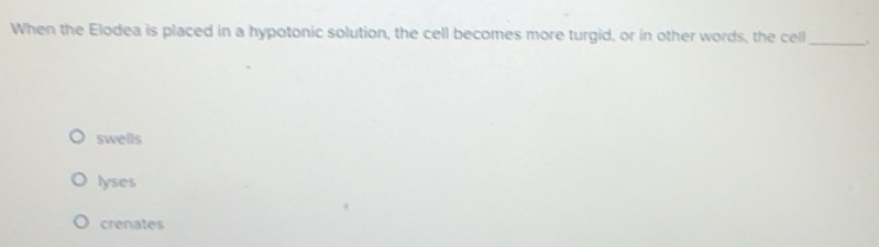 Solved: When the Elodea is placed in a hypotonic solution, the cell ...