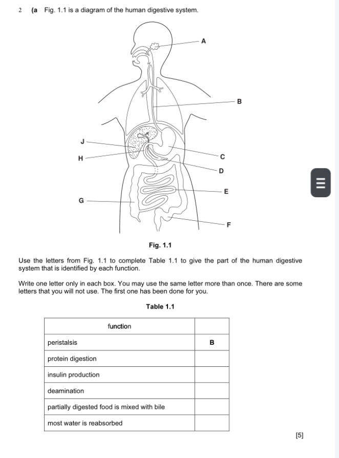 Solved: 2 (a Fig. 1.1 is a diagram of the human digestive system. Fig ...