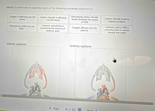 Solved: ldentify in which set of capillaries each of the following processes would occur. Oxygen ...