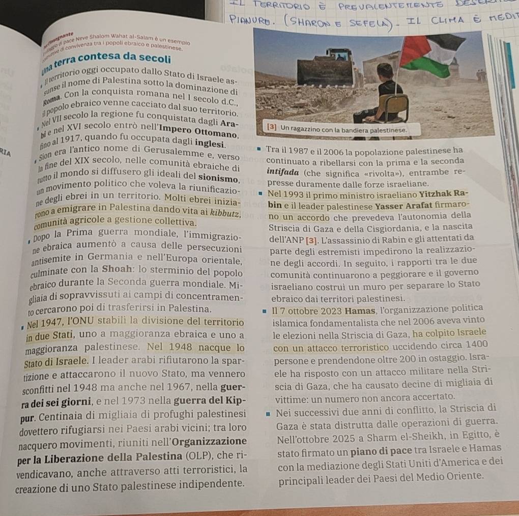 Risolto:gante age di pace Neve Shalom Wahat al-Salam é un esempio e ume ...