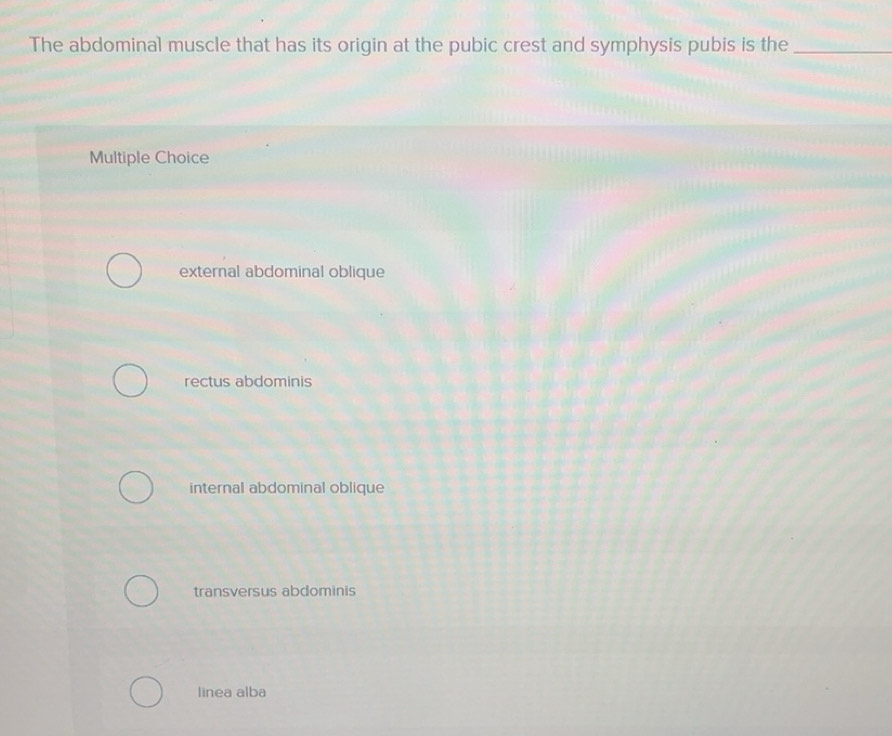 Solved The Abdominal Muscle That Has Its Origin At The Pubic Crest And Symphysis Pubis Is The