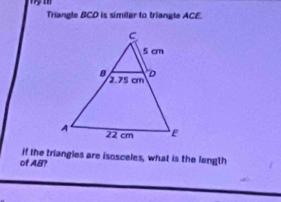 Solved: Triangle BCD is similar to triangle ACE. if the triangies are ...
