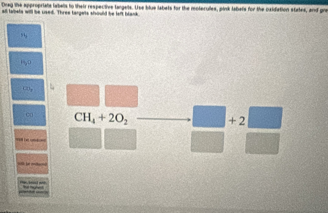 Solved: Drag the appropriate labels to their respective targets. Use ...
