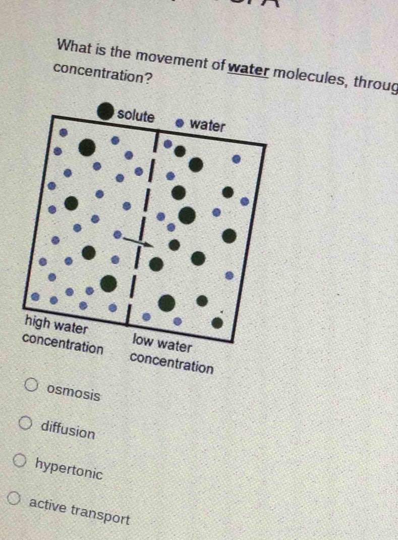 Solved: What is the movement of water molecules, throug concentration ...