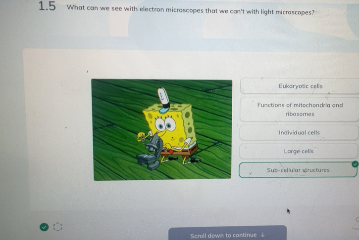 Gelöst:1.5 What can we see with electron microscopes that we can't with light microscopes? Eukary