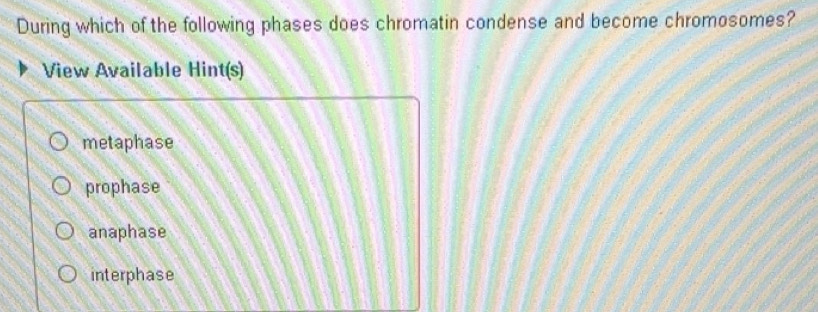 Solved: During which of the following phases does chromatin condense ...