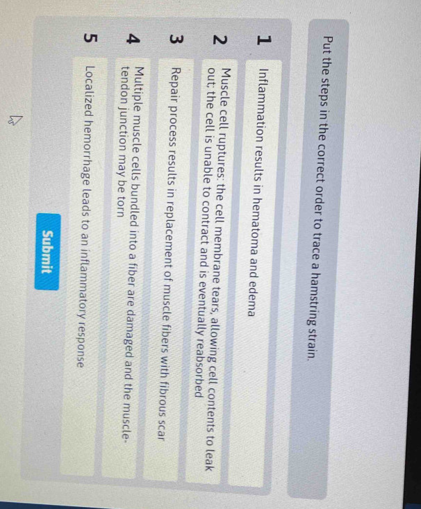 Solved: Put the steps in the correct order to trace a hamstring strain ...