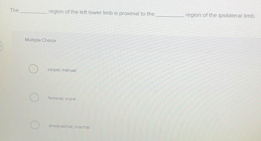 Solved: The _region of the left lower limb is proximal to the _region ...