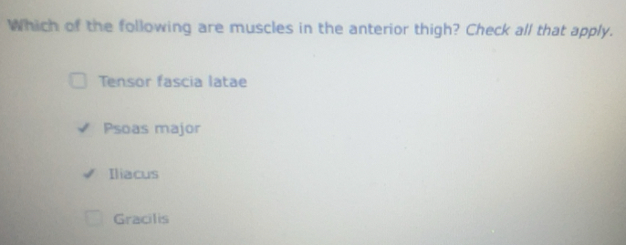 Solved: Which of the following are muscles in the anterior thigh? Check ...