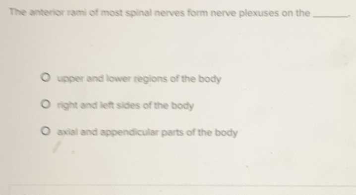 Solved: The anterior rami of most spinal nerves form nerve plexuses on ...