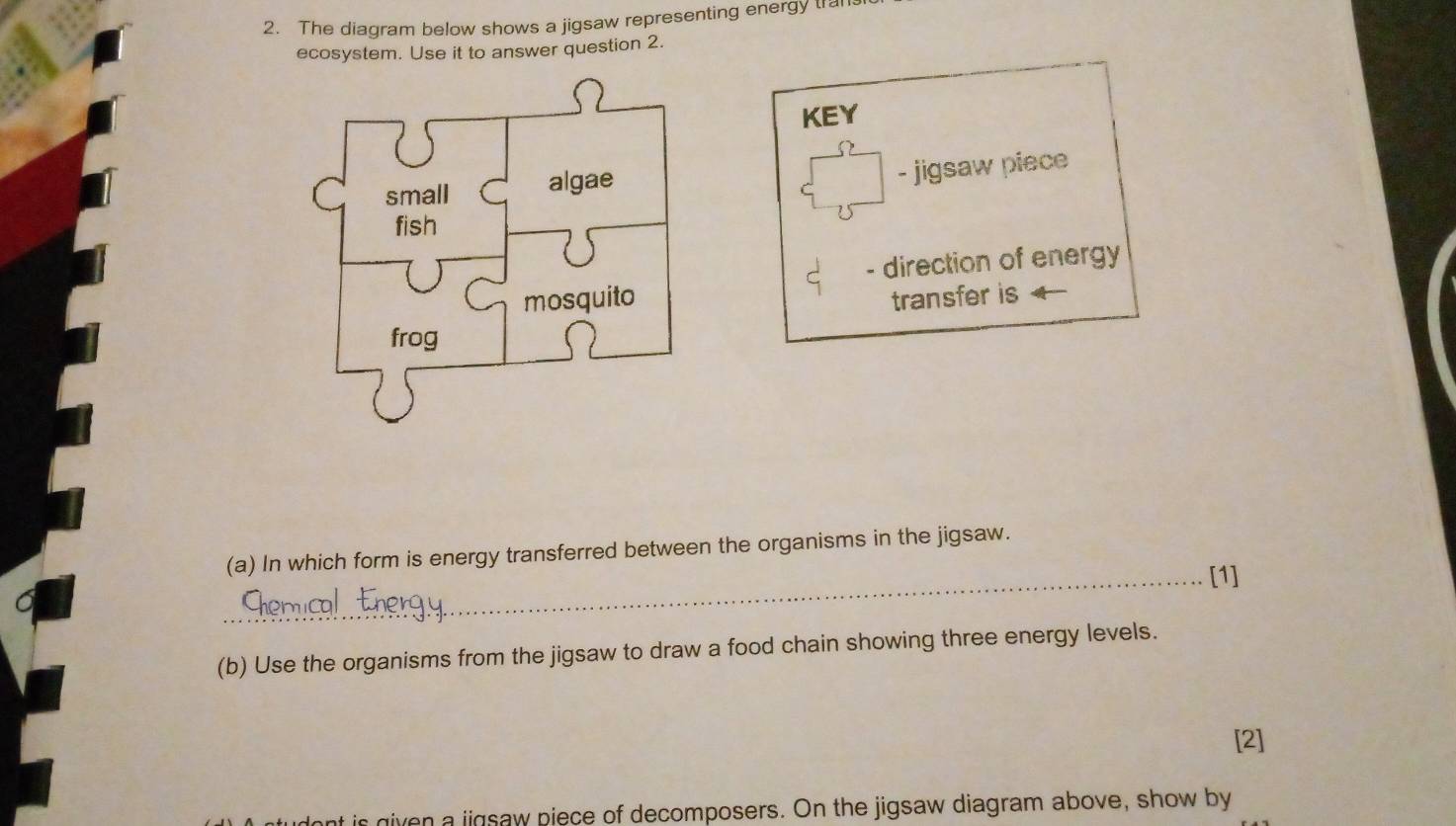 Solved: The diagram below shows a jigsaw representing energy tran ...