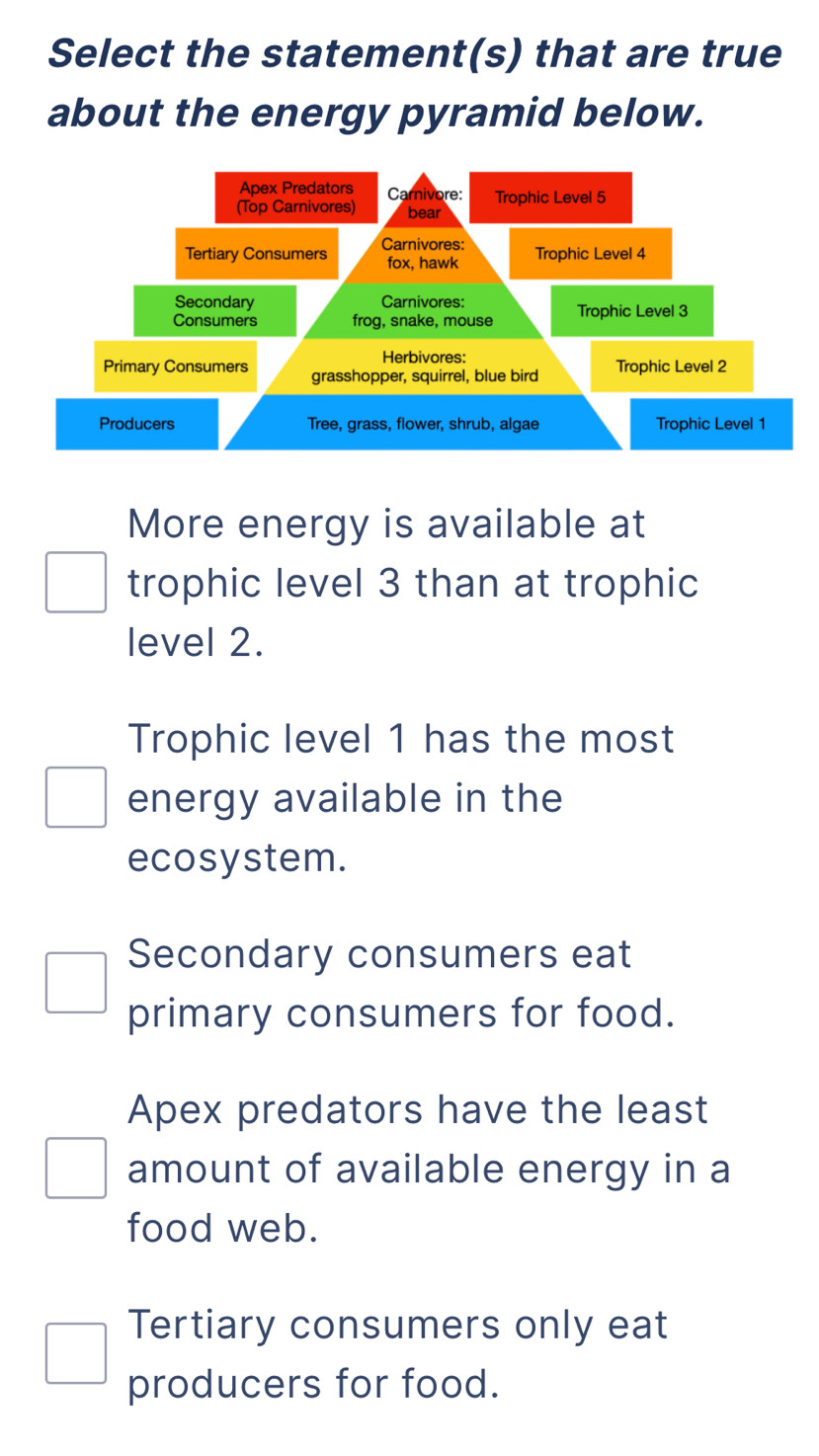 Solved: Select the statement(s) that are true about the energy pyramid ...