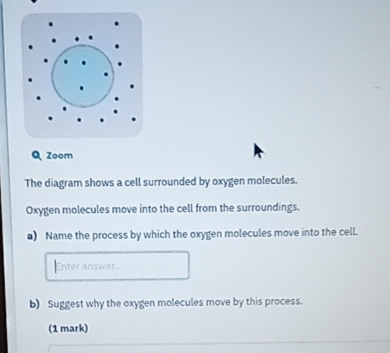 Gelöst:Zoom The diagram shows a cell surrounded by oxygen molecules ...