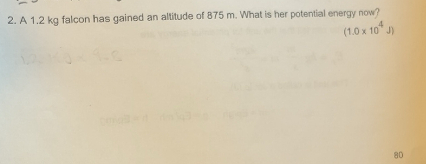 Solved: A 1.2 kg falcon has gained an altitude of 875 m. What is her ...