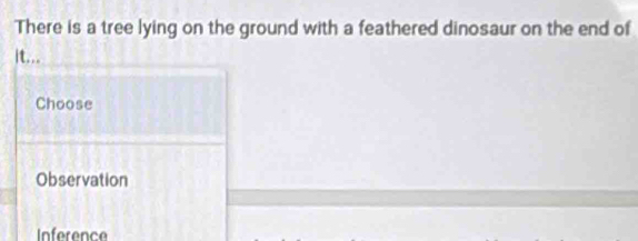 Solved: There is a tree lying on the ground with a feathered dinosaur ...