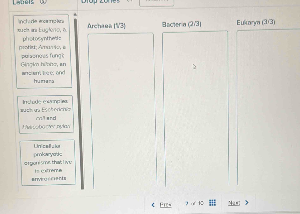 Solved: Labels ( Drop Zones Include examples Eukarya (3/3) such as ...