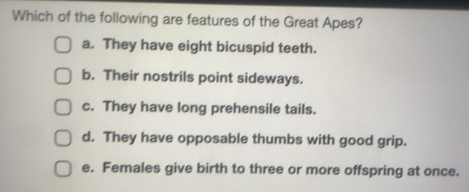 Solved: Which of the following are features of the Great Apes? a. They ...