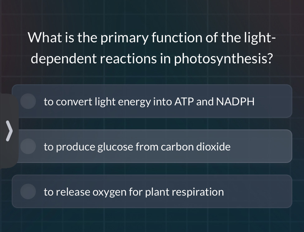 Solved: What is the primary function of the light- dependent reactions in photosynthesis? to ...