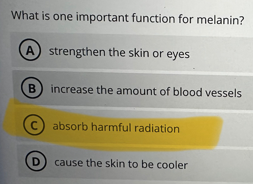 Solved: What is one important function for melanin? Astrengthen the ...