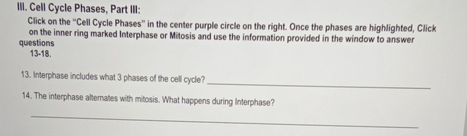 Solved: Cell Cycle Phases, Part III: Click on the “Cell Cycle Phases ...