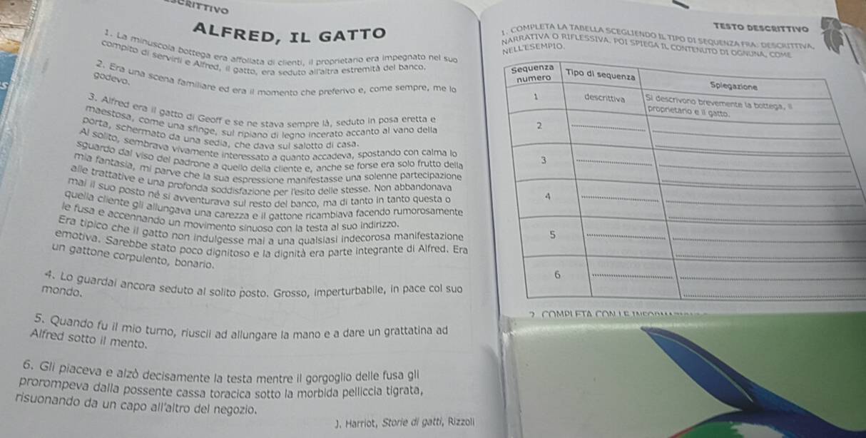 Risolto:3CRittivo ALFRED, IL GATTO TESTO DESCRITTIVO 1. COMPLETA LA ...