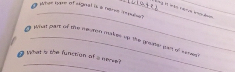 Solved: What type of signal is a nerve impulse? Hing it into nerve ...