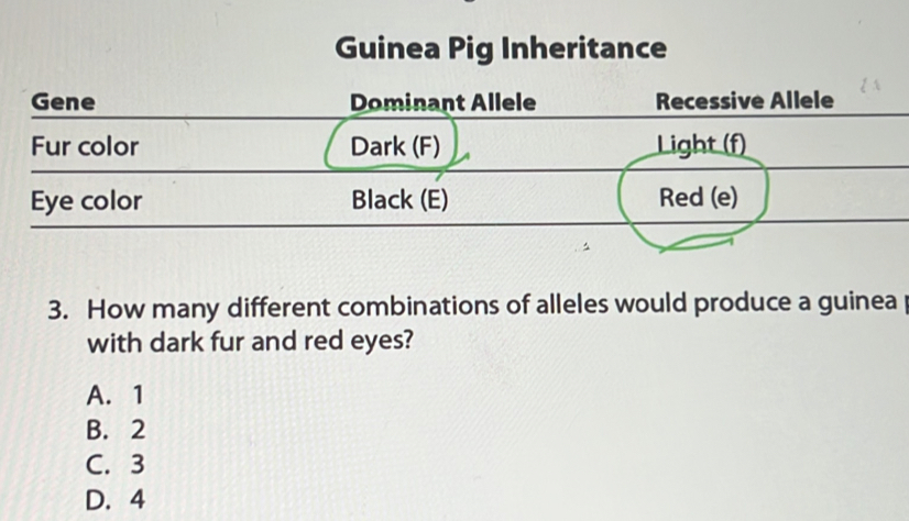 Solved: Guinea Pig Inheritance Gene Dominant Allele Recessive Allele ...