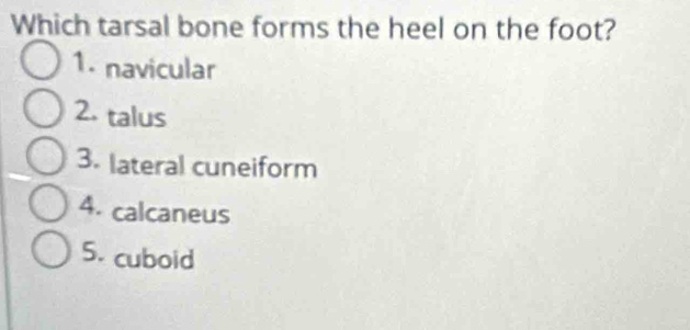 Solved: Which tarsal bone forms the heel on the foot? 1. navicular 2 ...
