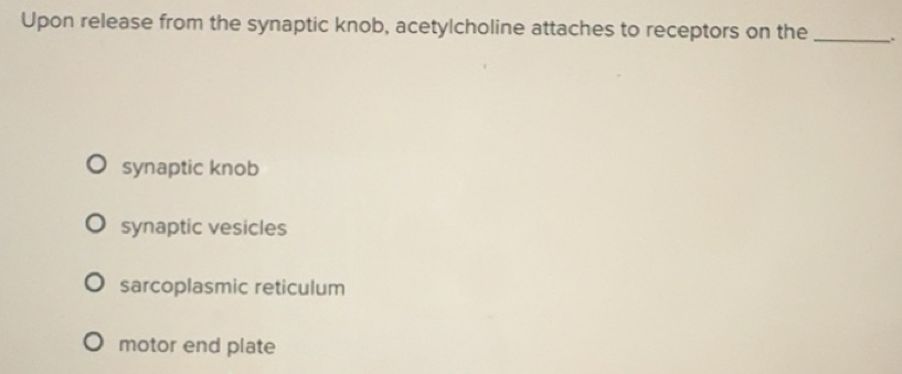 Solved: Upon release from the synaptic knob, acetylcholine attaches to ...