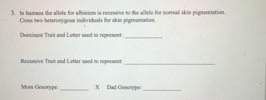 Solved: In humans the allele for albinism is recessive to the allele ...
