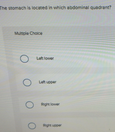 Solved: The stomach is located in which abdominal quadrant? Multiple ...