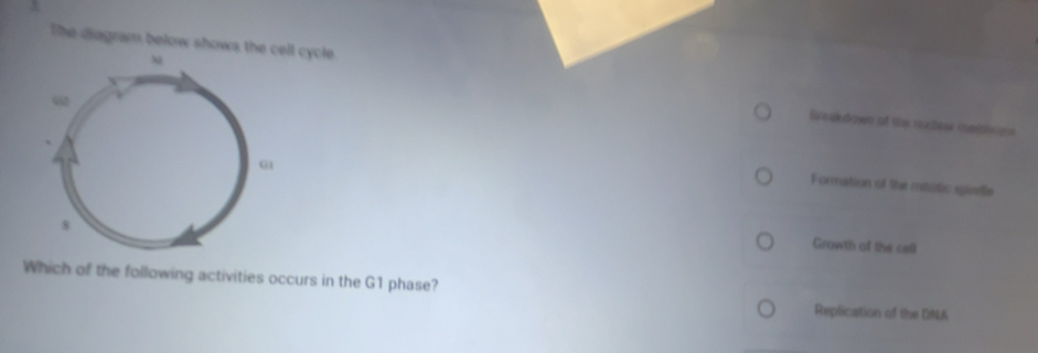 Solved: The diagram below shows the cell cycle. Greakdown of the ...