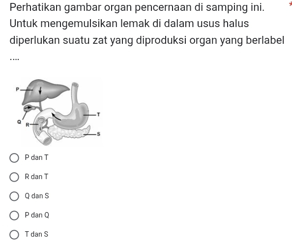 Telah dijawab:Perhatikan gambar organ pencernaan di samping ini. Untuk ...
