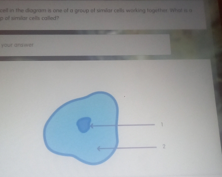 Solved: cell in the diagram is one of a group of similar cells working ...