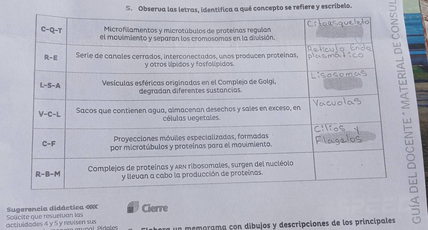 Resuelto:Observa las letras, identifica a qué concepto se refiere y ...
