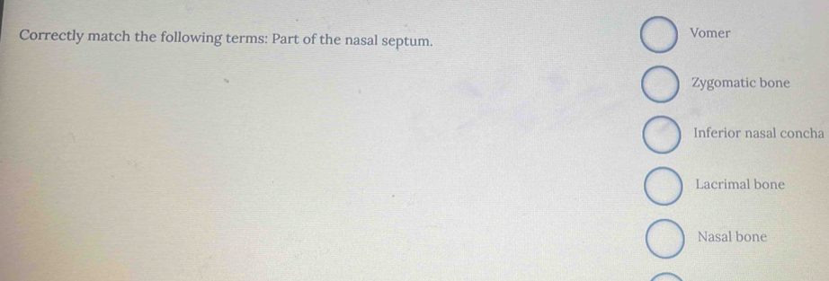 Solved: Correctly match the following terms: Part of the nasal septum ...