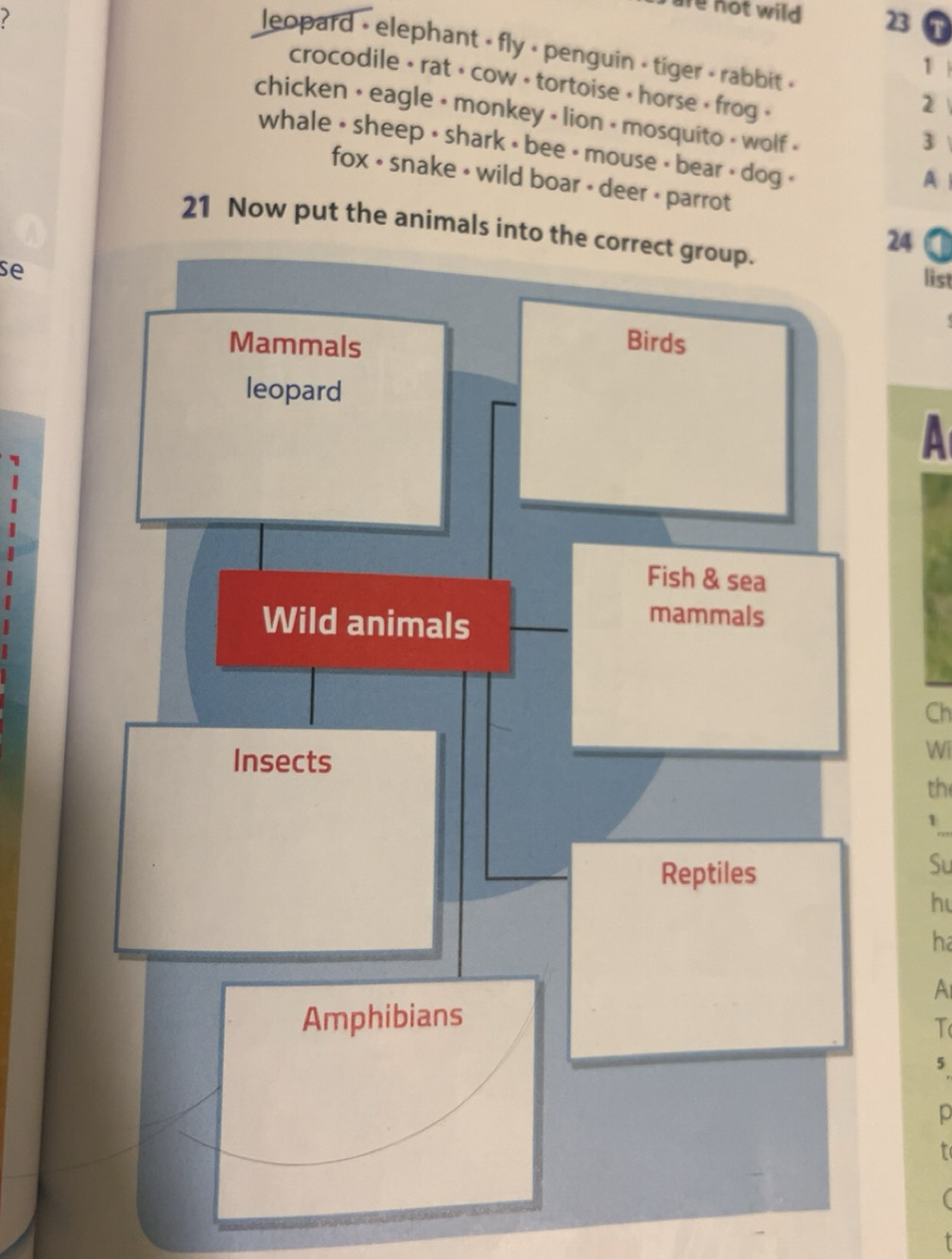 Risolto:are not wild 23 leopard - elephant - fly - penguin - tiger ...