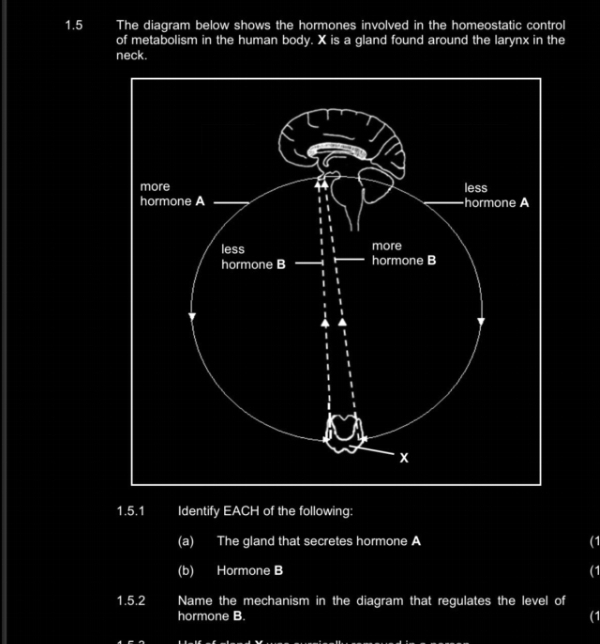 Solved: 1.5 The diagram below shows the hormones involved in the ...