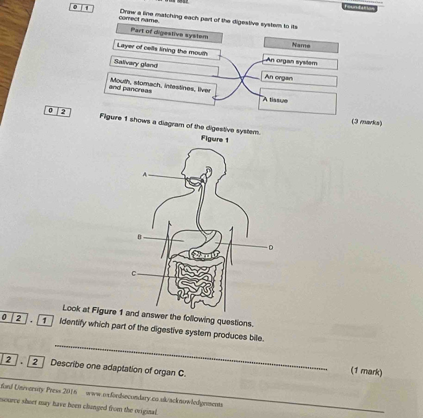 Solved: Foundation 0 1 Draw a line matching each part of the digestive ...