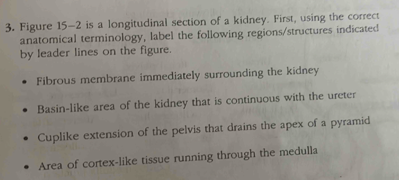 Solved: Figure 15-2 is a longitudinal section of a kidney. First, using ...