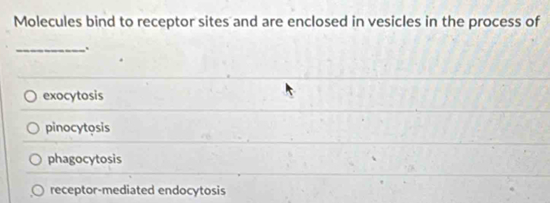 Solved: Molecules bind to receptor sites and are enclosed in vesicles ...