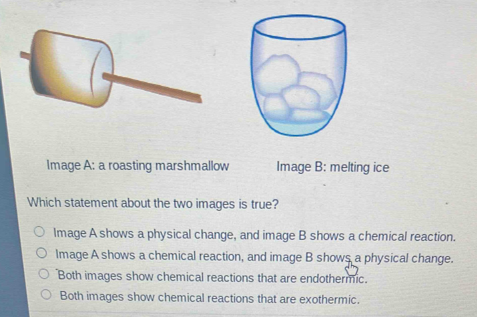 Solved: Image A: a roasting marshmallow Image B: melting ice Which ...
