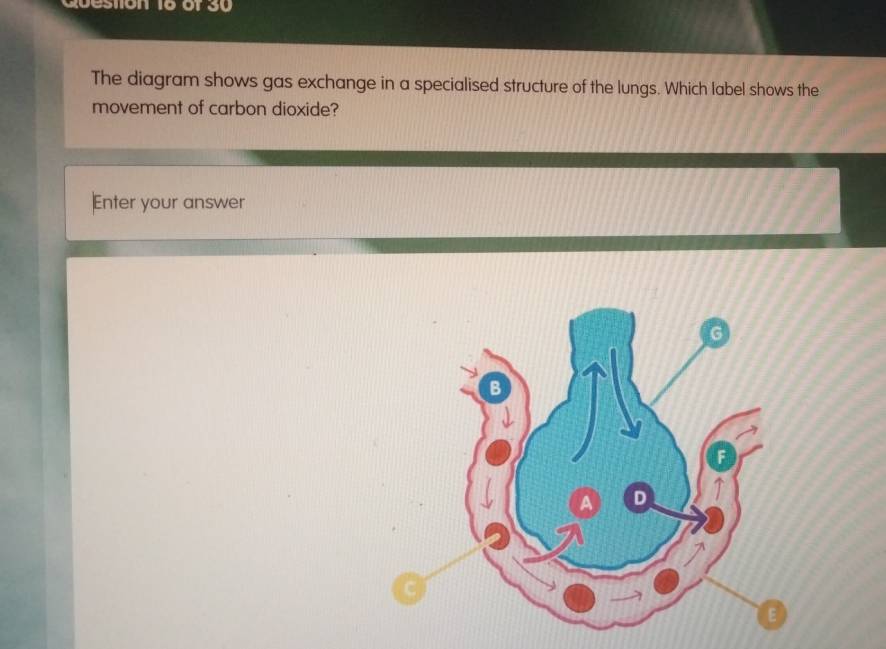 Solved: The diagram shows gas exchange in a specialised structure of ...