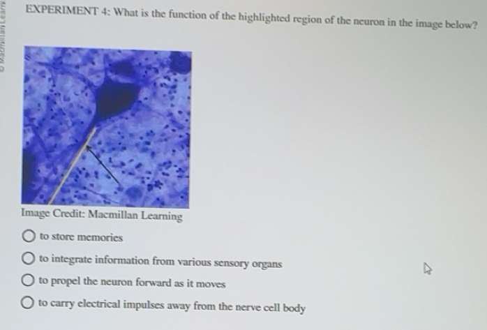 Solved: EXPERIMENT 4: What is the function of the highlighted region of ...