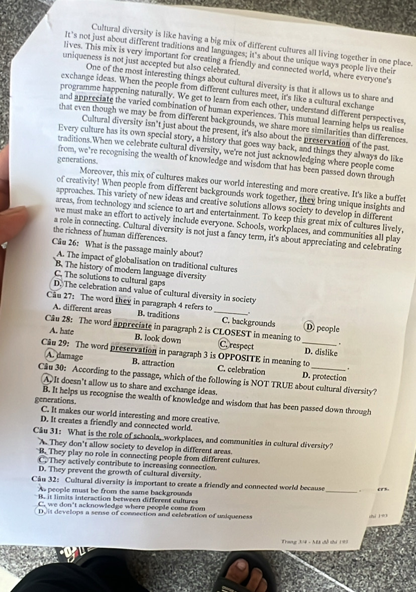 Giải quyết:Cultural diversity is like having a big mix of different ...